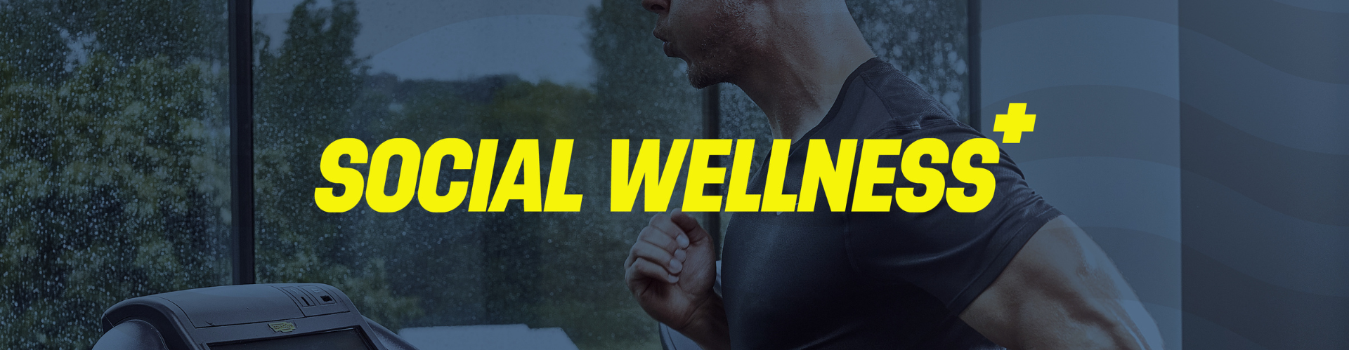 The Importance of Social Wellness: Building Connections for a Healthier ...